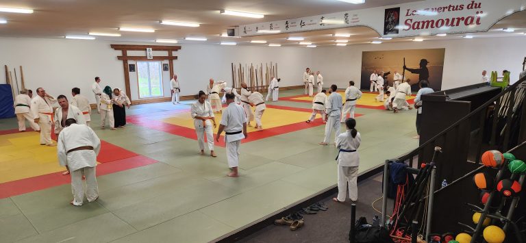 Stage International Aikibudo et Kobudo - Association d'Aïkibudo et de ...
