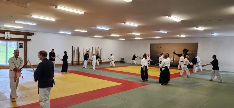 Stage International Aikibudo et Kobudo - Association d'Aïkibudo et de ...